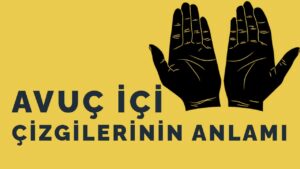 Avuç İçindeki Çizgilerin Anlamı – 1001Ruya